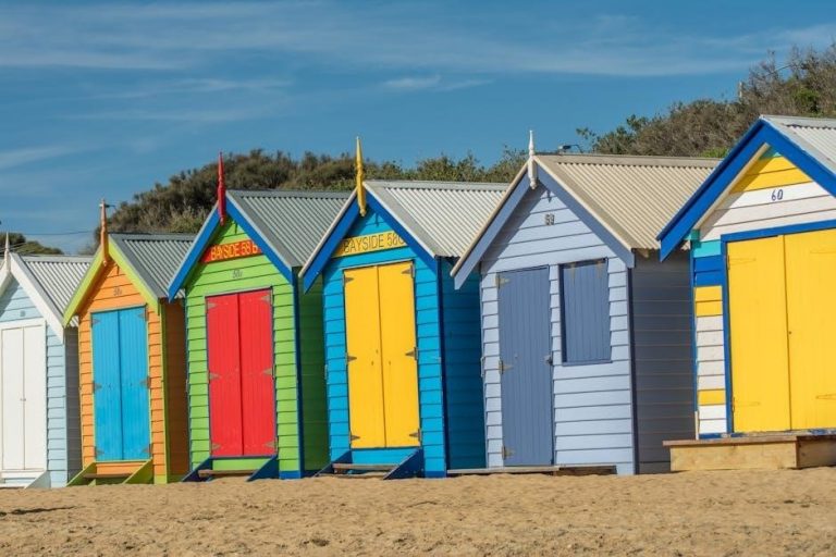 BodyGuardian Mini Plus Instructions | Easy Setup Guide